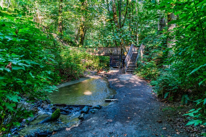 Dash Point Trail Bridge stock image. Image of trails - 330758575