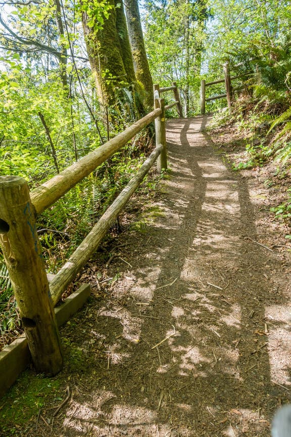 Dash Point Trail stock image. Image of nature, trees - 70357161