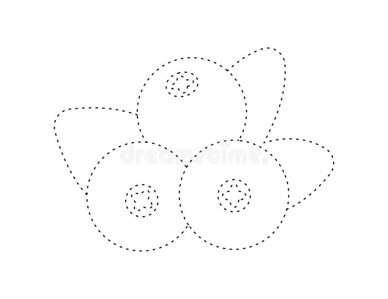 Dashed Cranberry Outline for Coloring Book Template, Cranberry for Kids ...