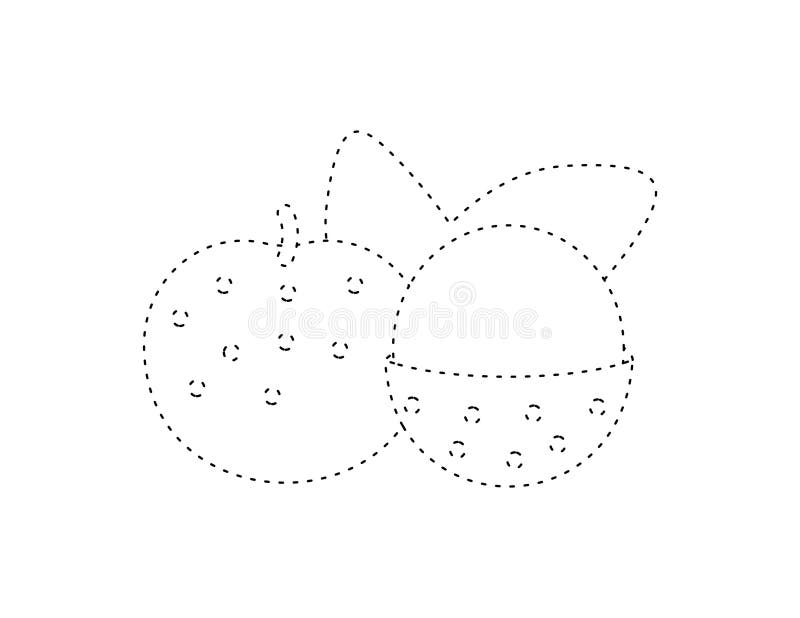 Dashed Longan Outline for Coloring Book Template, Longan for Kids ...
