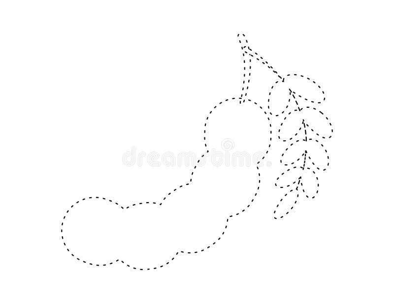 Tamarind Colouring Pages