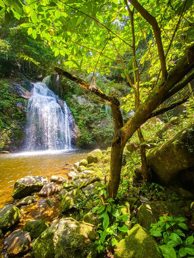 Phu Fa Waterfall Stock Photos - Free & Royalty-Free Stock Photos from ...