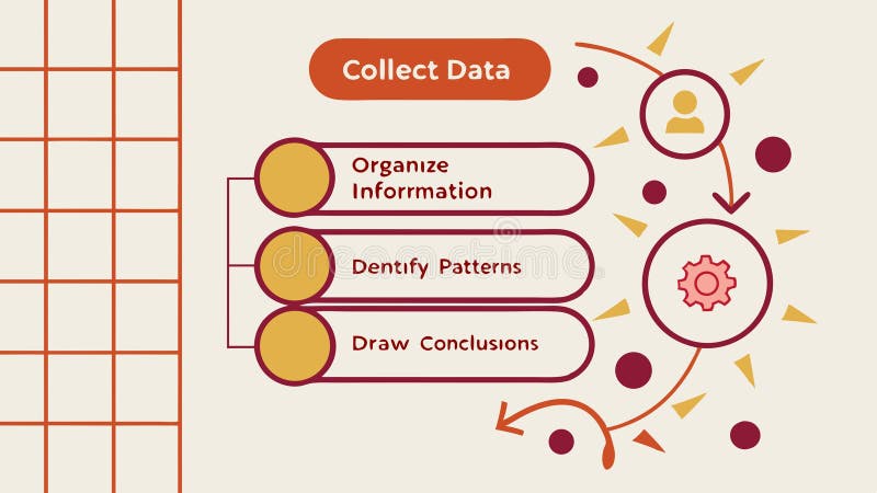 Data Collection Process: Organize, Identify, Conclude, Vector Design ...