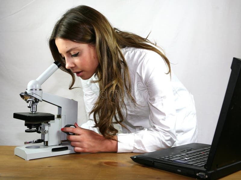 Data Entry in the Laboratory Stock Image - Image of class, laptop: 9195137