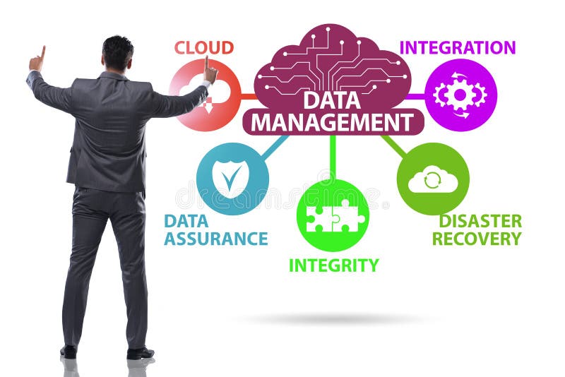 Data Management Concept with Business People Stock Illustration ...