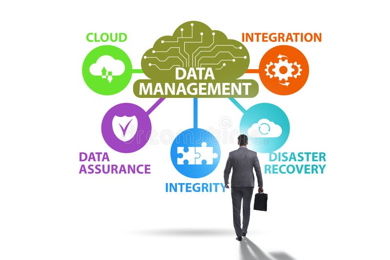 Data Management Concept with Business People Stock Illustration ...