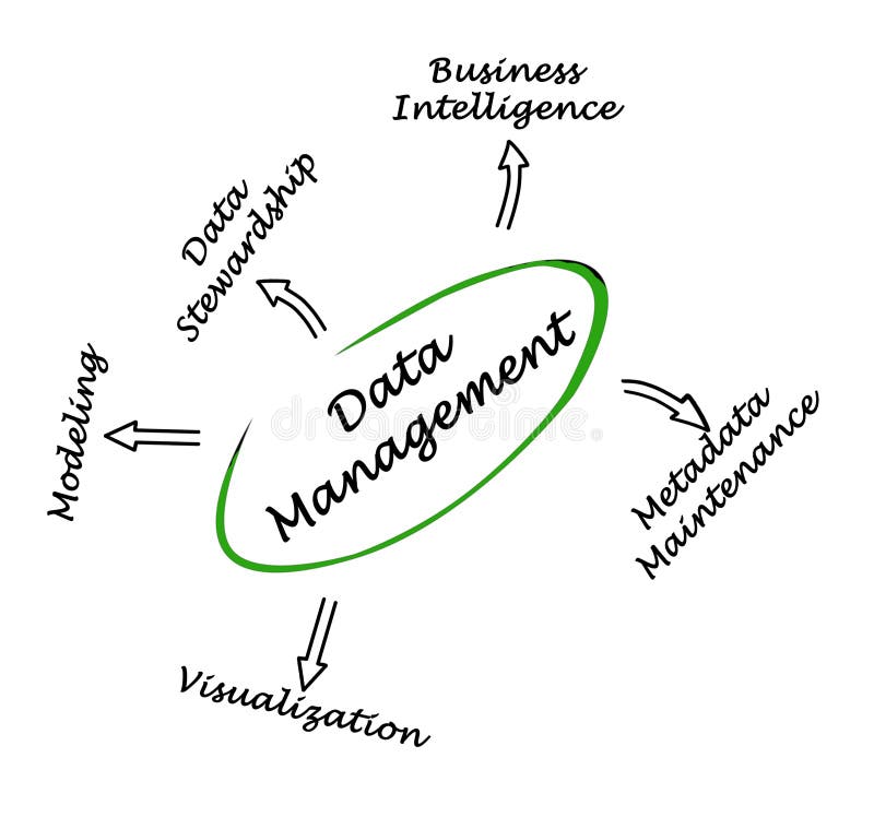 Data Management stock image. Image of management, development - 94367905