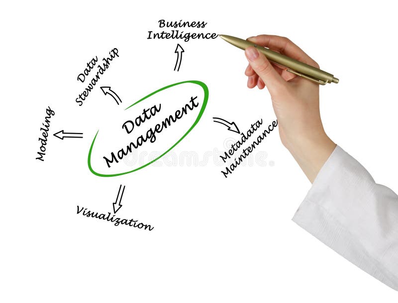 Data Management stock image. Image of drawing, data, business - 85717211