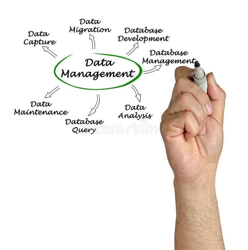 Data Management stock image. Image of management, development - 94367905
