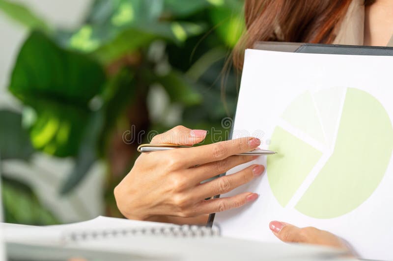 Data Presentation and Analysis. a Professional Woman Discussing a Pie ...