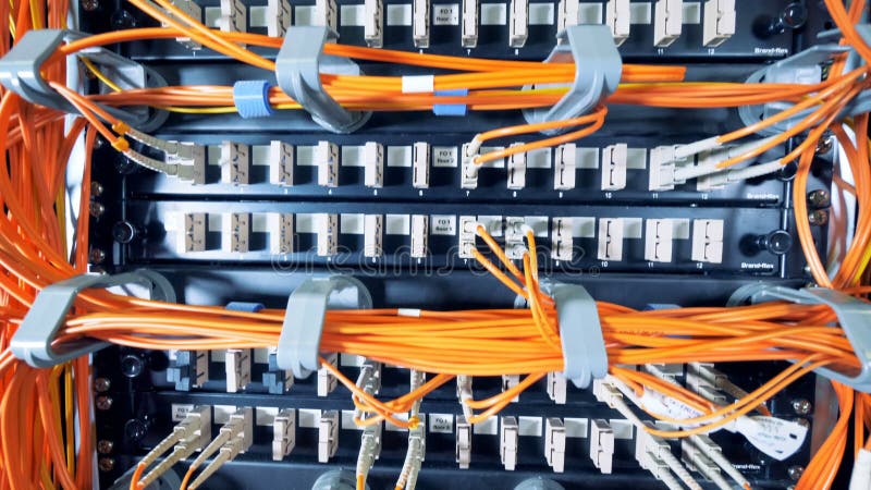 Connected Servers are Getting Observed by a Human-like Cyborg Stock ...