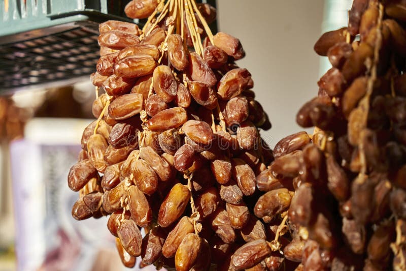 Date Branches Draped with Many Fruits with Dried Dates, the Bread of ...