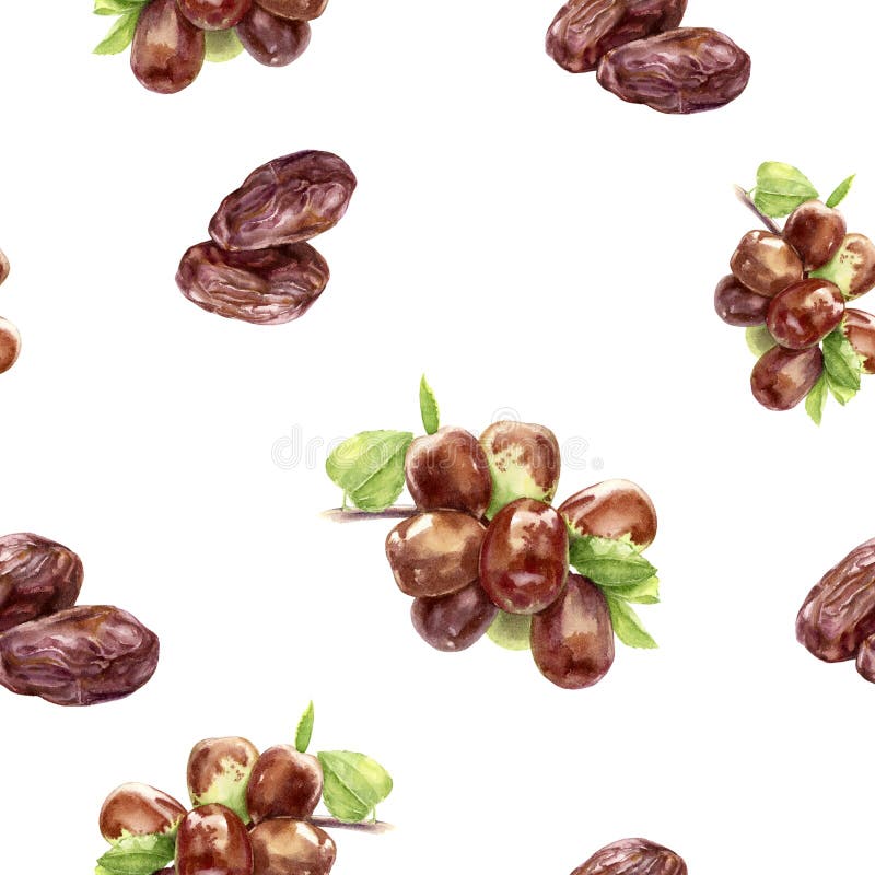 Date Fruit Hand Drawn Watercolor Illustration. Seamless Pattern. Stock ...