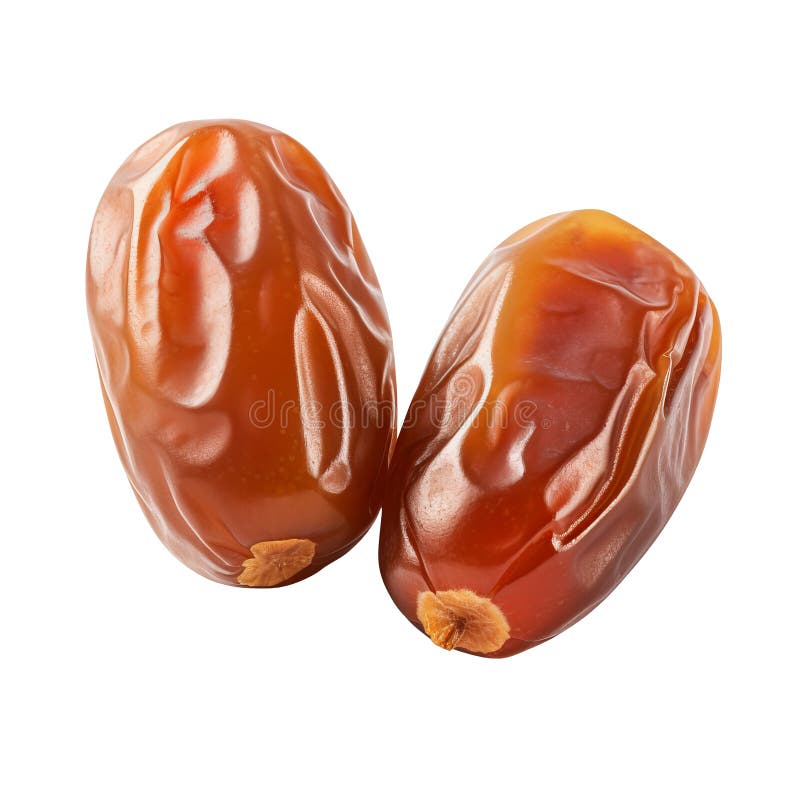 Date Fruit Illustration with a Detailed Full-body Depiction, Set ... Date Fruit Illustration with a Detailed Full-body Depiction, Set ...