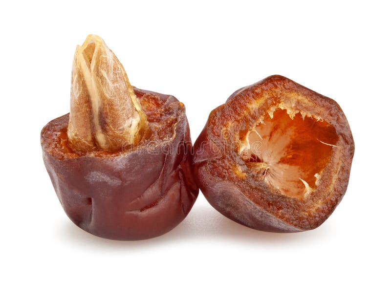 Date fruit path isolated stock image. Image of slices - 250891197