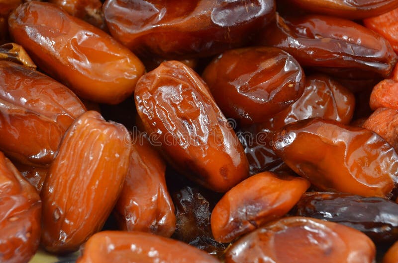 Date fruit stock image. Image of dehydrated, dried, eating - 51582939