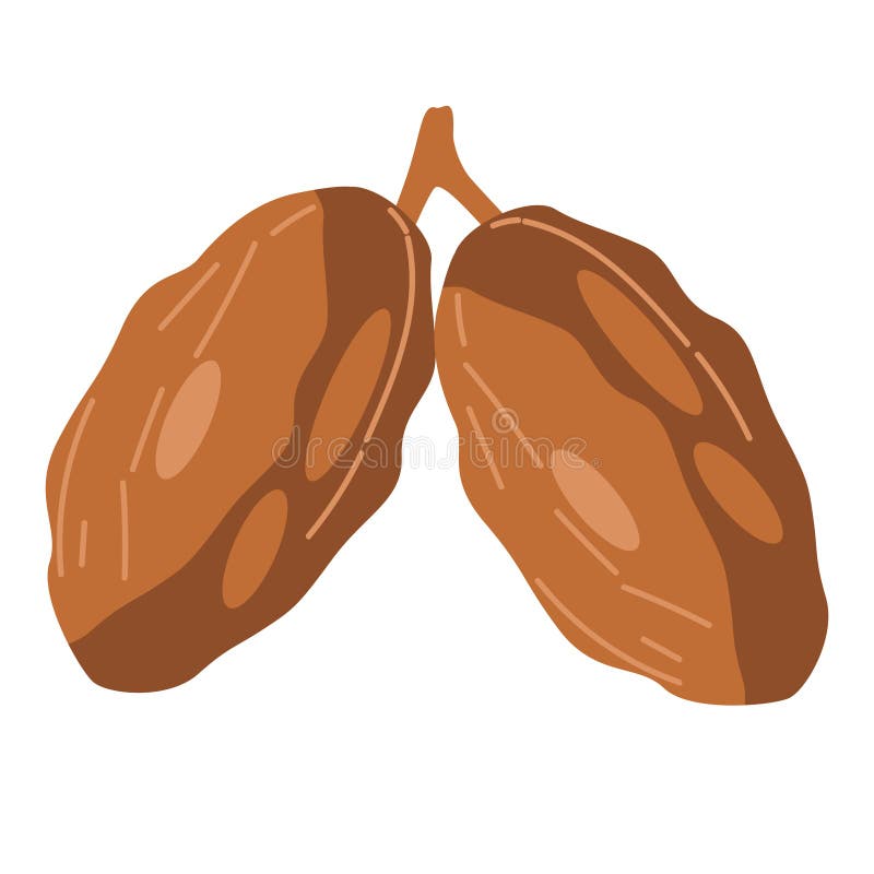 Date Fruit Vector Stock Illustrations – 6,762 Date Fruit Vector Stock ...