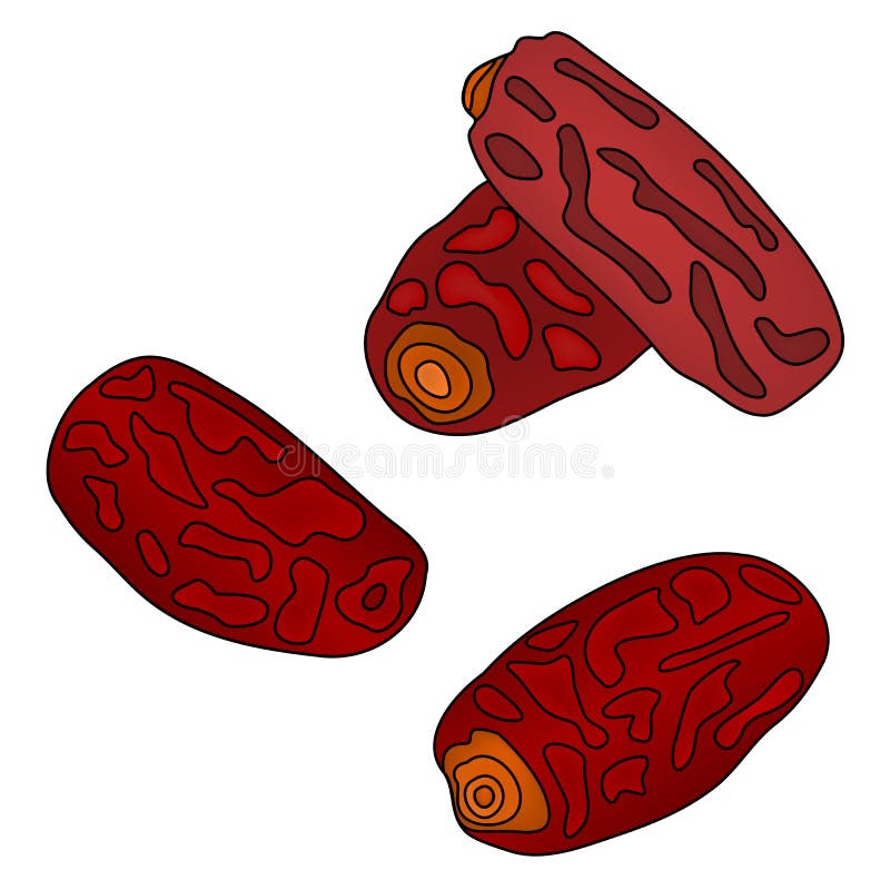 Date Fruits Isolated Vector Illustration Stock Vector - Illustration of ...