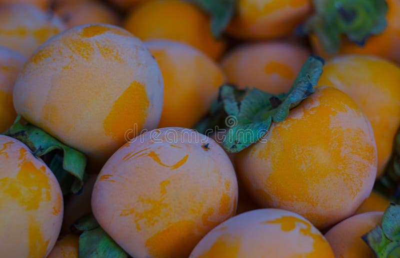 Date fruits stock image. Image of natural, vegetarian - 276289423