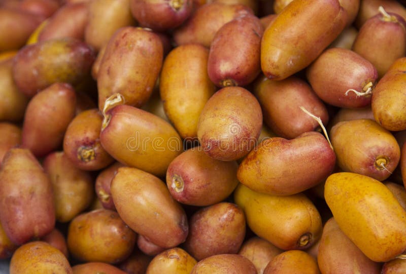 Date jaune fraîche photo stock. Image du branchement - 34322982