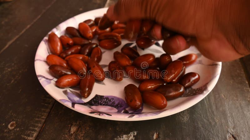 Date palm fruits. stock video. Video of nutrition, organic - 282906171