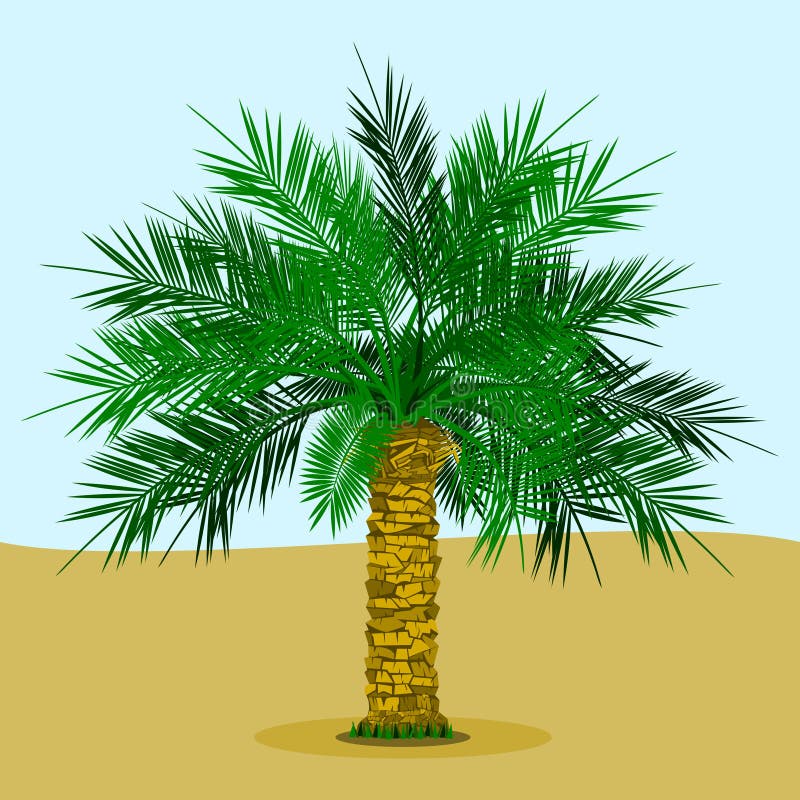 Date Palm Tree with Simple Background Vector Illustration Stock Vector ...