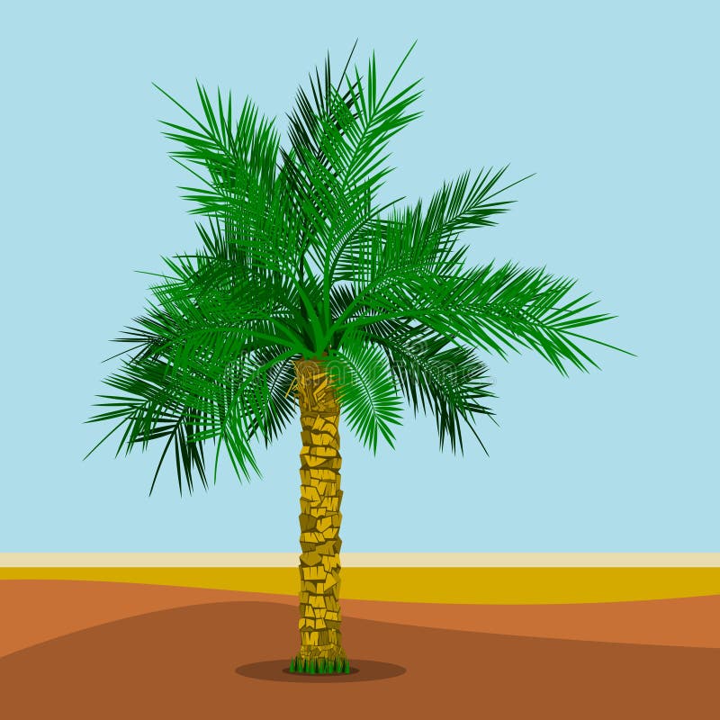 Date Palm Tree with Simple Background Vector Illustration Stock Vector ...