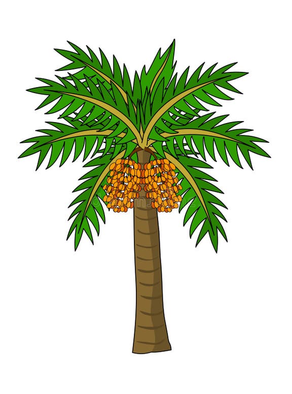 Date Palm Tree Vector Illustration Stock Vector - Illustration of ...