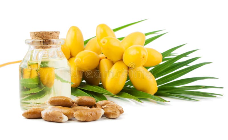 Date Seed Oil stock image. Image of fruit, white, products - 32371775