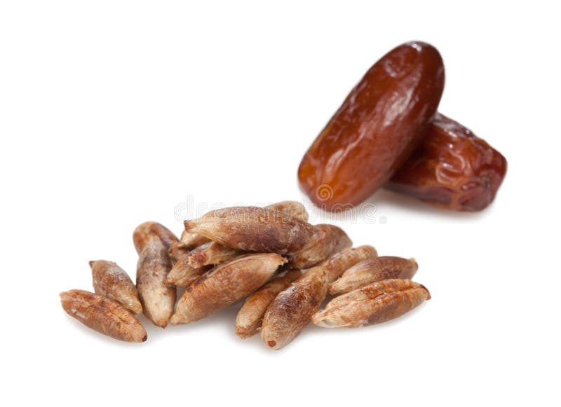 Date-stones and dates stock image. Image of nutrition - 19209459