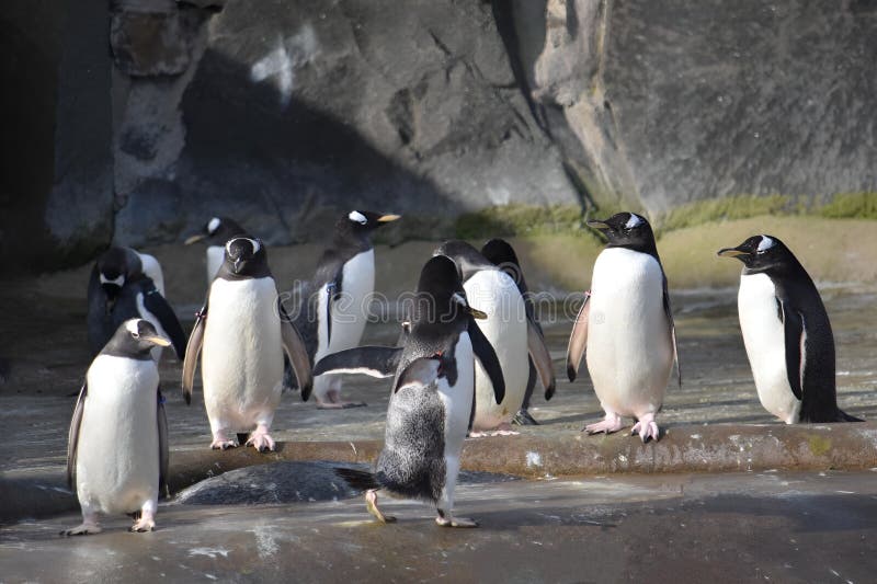 Date time stock photo. Image of imagery, nature, meeting - 275426514