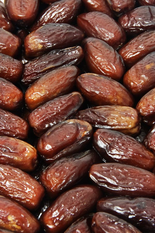 Dates stock photo. Image of desert, picking, cultivation - 19341658