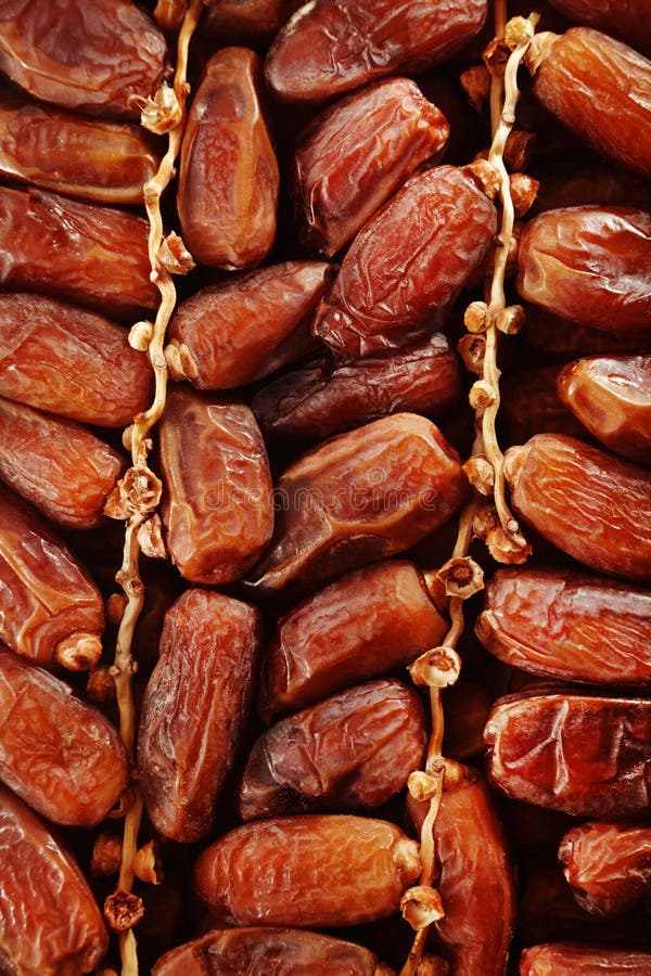 Dates stock photo. Image of desert, picking, cultivation - 19341658