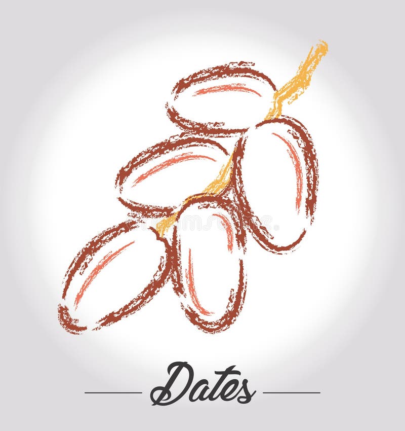 Dates fruit drawing sketch stock vector. Illustration of drawn - 281673013
