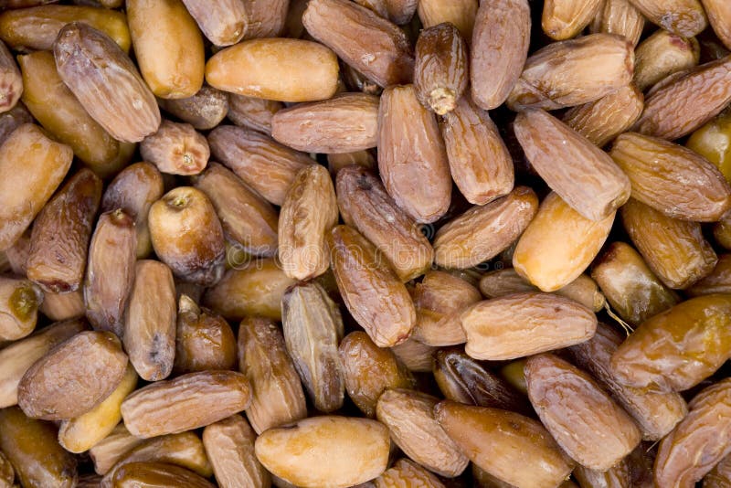 Dates background stock photo. Image of stack, heap, eating - 7113528