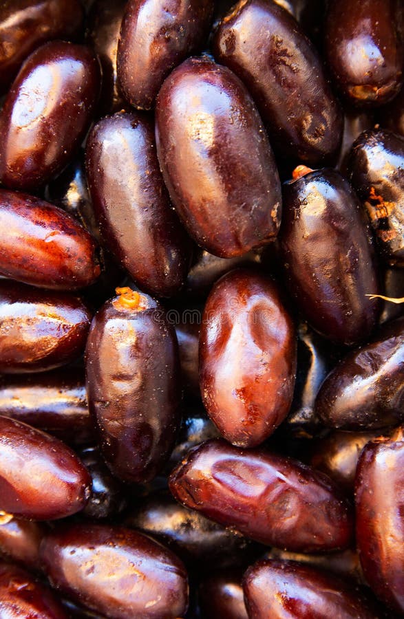 Dates, Fresh Dates at a Market in Cairo, Egypt Stock Photo - Image of ...