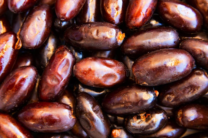 Dates, Fresh Dates at a Market in Cairo, Egypt Stock Image - Image of ...