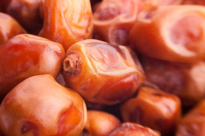 Dates fruit stock photo. Image of snack, tropical, ingredient - 39144578