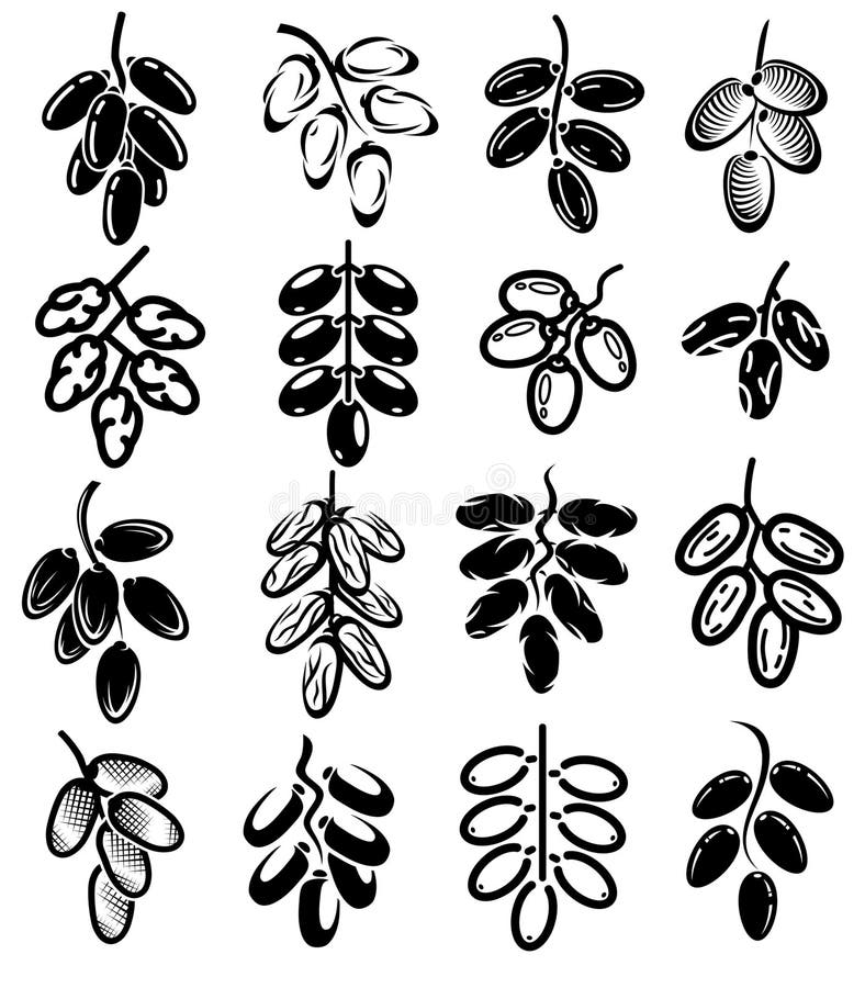 Dates Fruit Set. Collection Icon Dates Fruit Stock Illustration ...