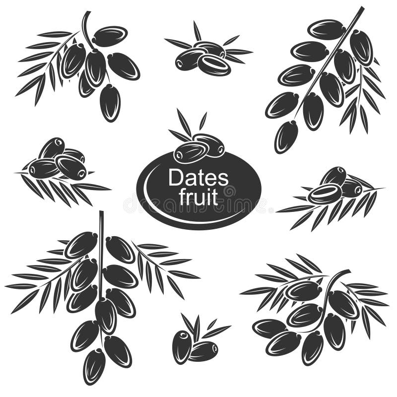 Dates Fruit Set. Collection Icon Dates Fruit. Vector. Not AI-generated ...