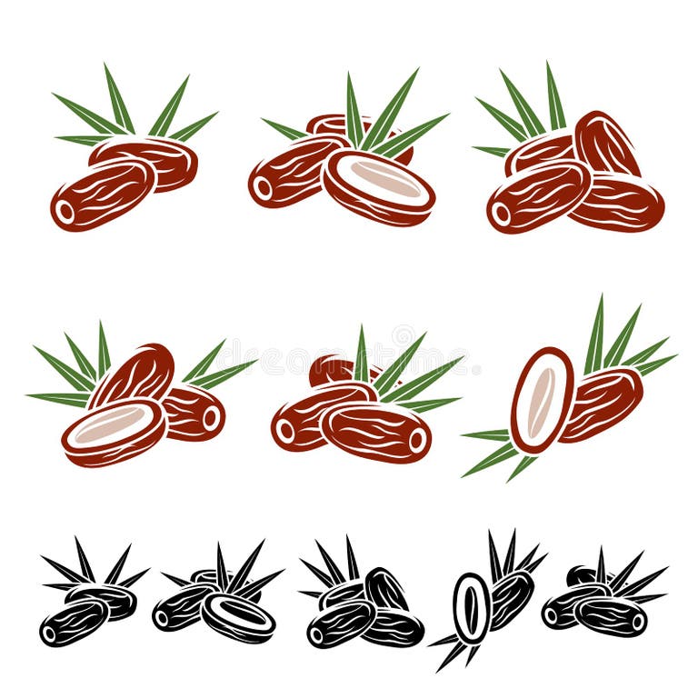 Dates fruit set. Vector stock vector. Illustration of saudi - 90231777
