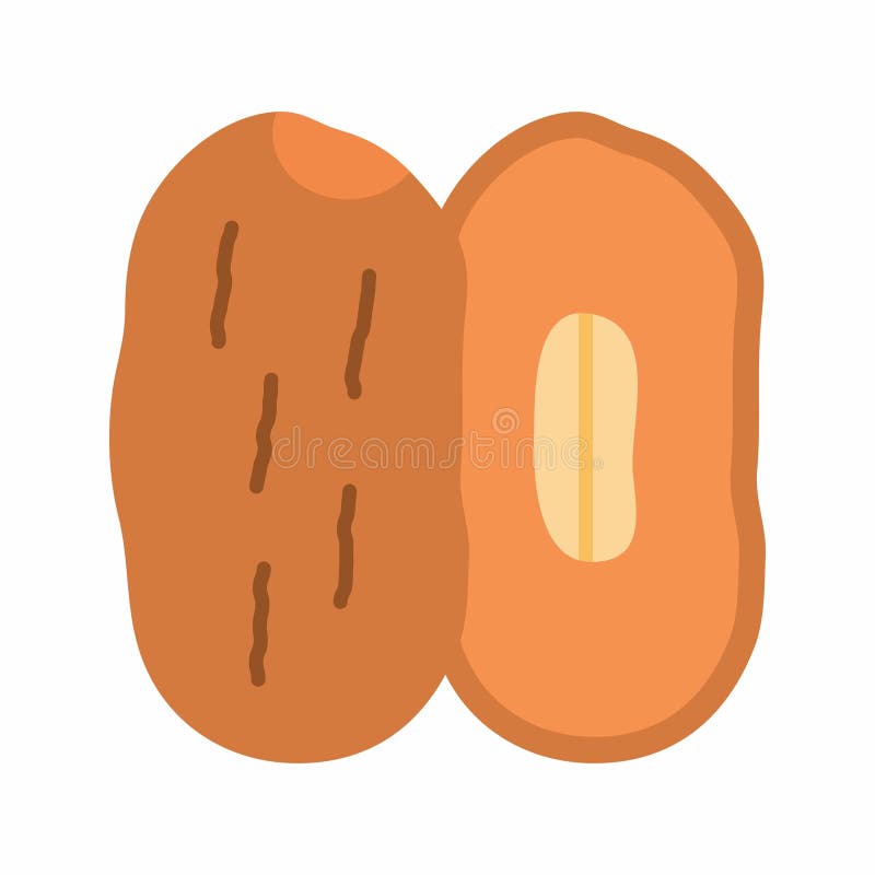 Dates icon vector image. stock vector. Illustration of healthy - 341748734
