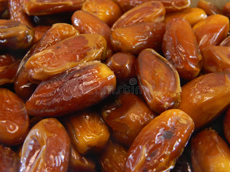 Dates Isolated on White Background Stock Image - Image of isolated ...