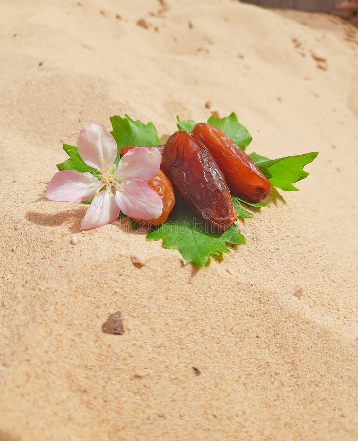 Dates Palms Tree Fruits Welcome Ramadan Stock Photo - Image of love ...