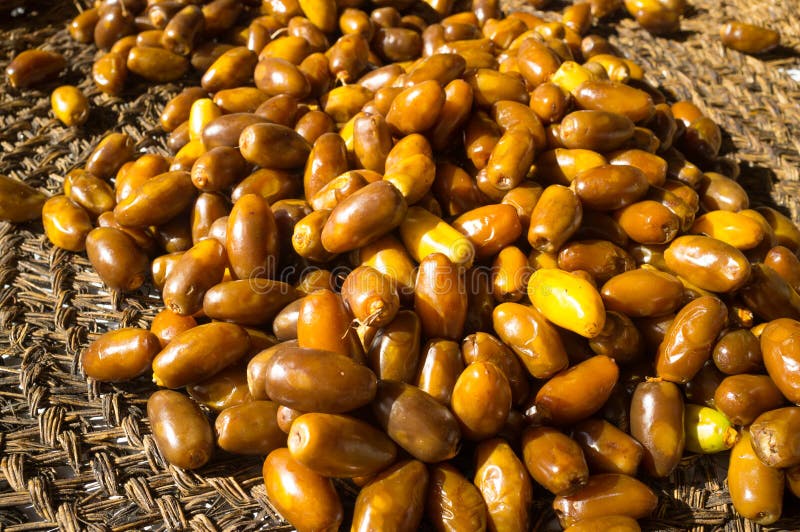 Dates stock photo. Image of stall, fresh, healthy, moroccan - 35033184