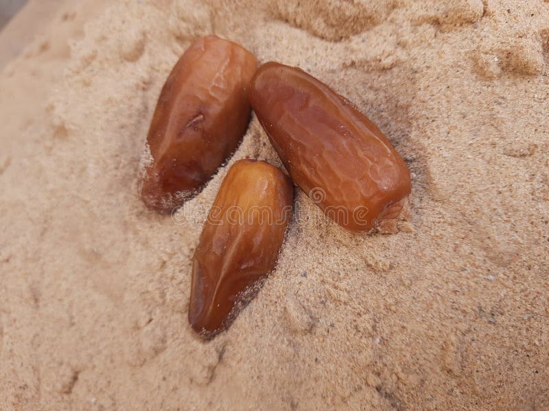 Dates on Sands of Desert Algeria Stock Photo - Image of wallpaper ...