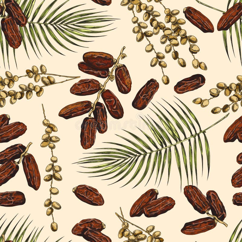 Dates Seamless Pattern, Hand Drawn Colored Sketch Vector Illustration ...
