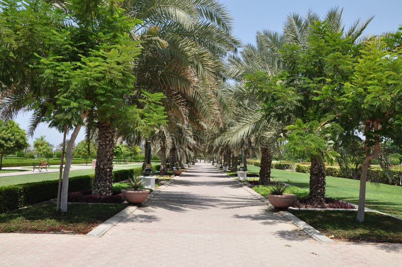 Shell Petrol Station in Muscat Oman Editorial Stock Photo - Image of ...