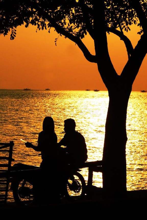Dating Under the Beach Tree Stock Photo - Image of tree, sunset: 13790000