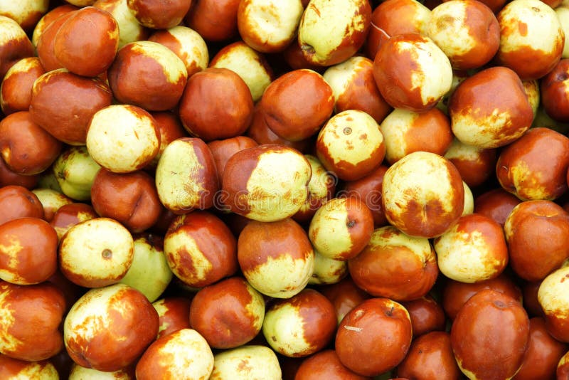 Datte chinoise photo stock. Image du fond, chinois, fruit - 4929034